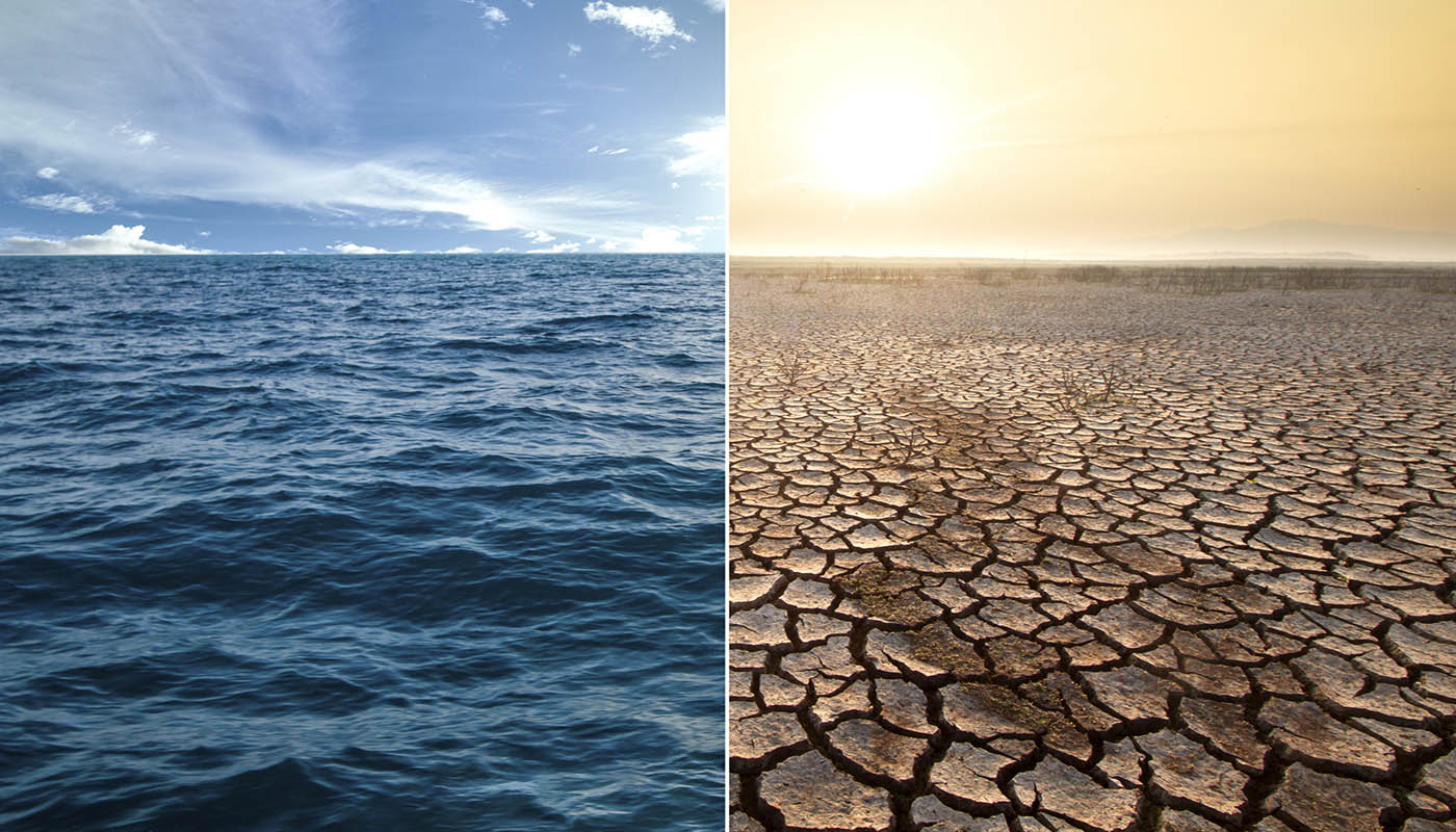 3 Key Areas for Understanding Nature-Related Risks